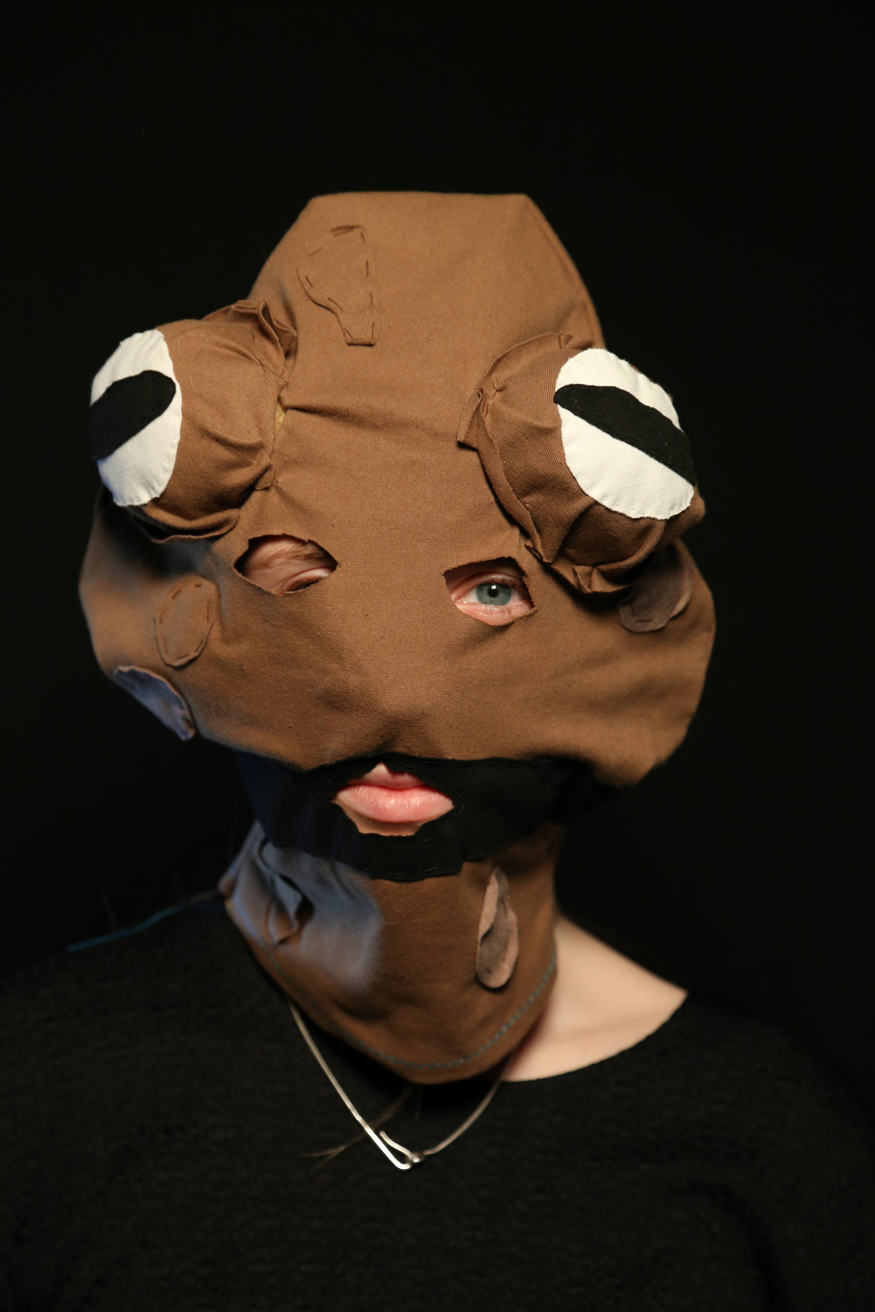 cane toad - Lewis Center for the Arts