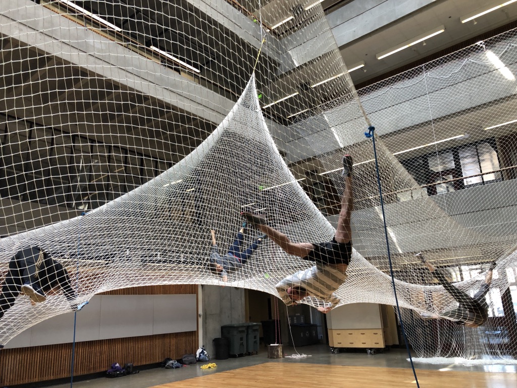 The Understor(e)y: Suspension, Movement, Space - Lewis Center for the Arts