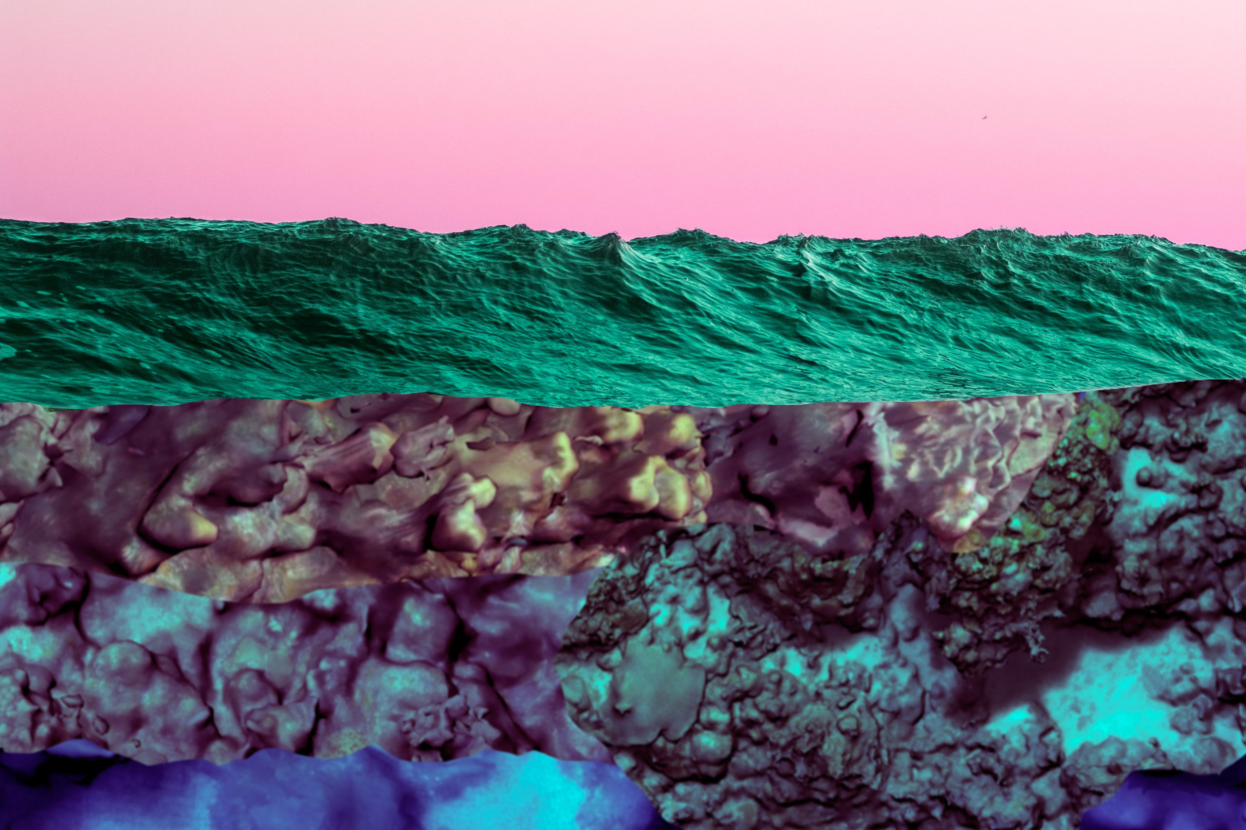 Methods of Color Photography - Lewis Center for the Arts