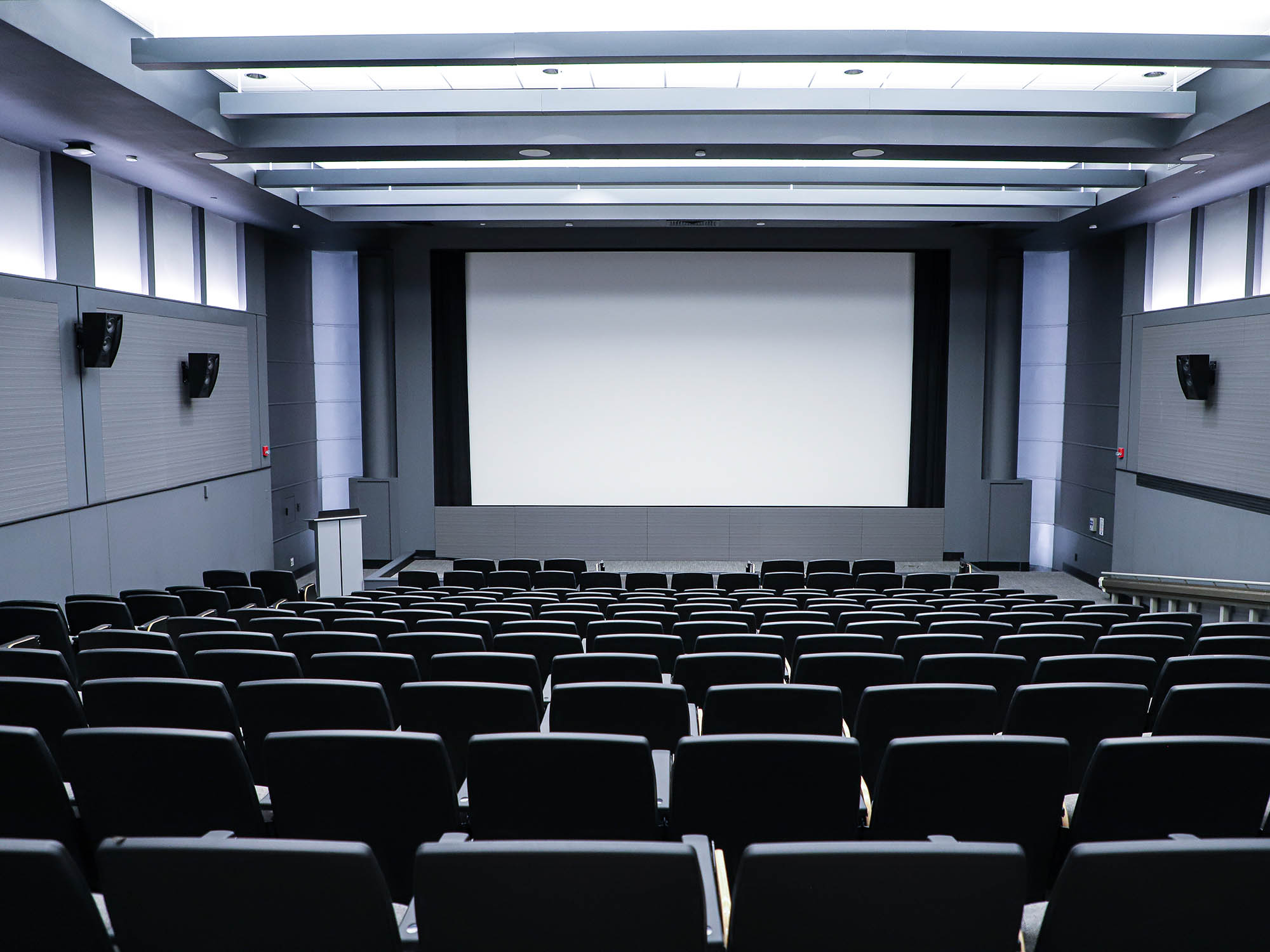 Artist’s Talk: Elisabeth Subrin