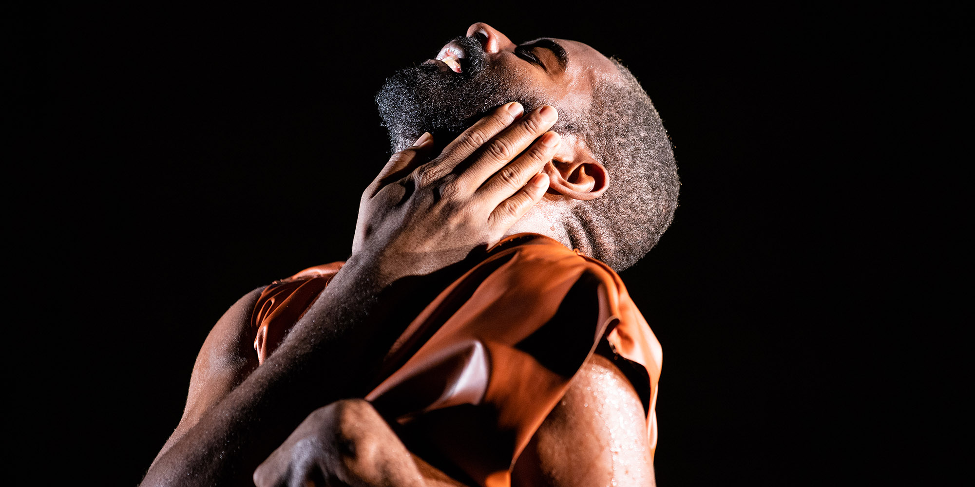 Vitruvian by Jerron Herman