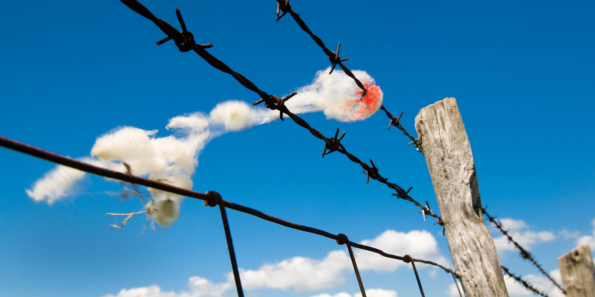 The Woolgatherer by William Mastrosimone