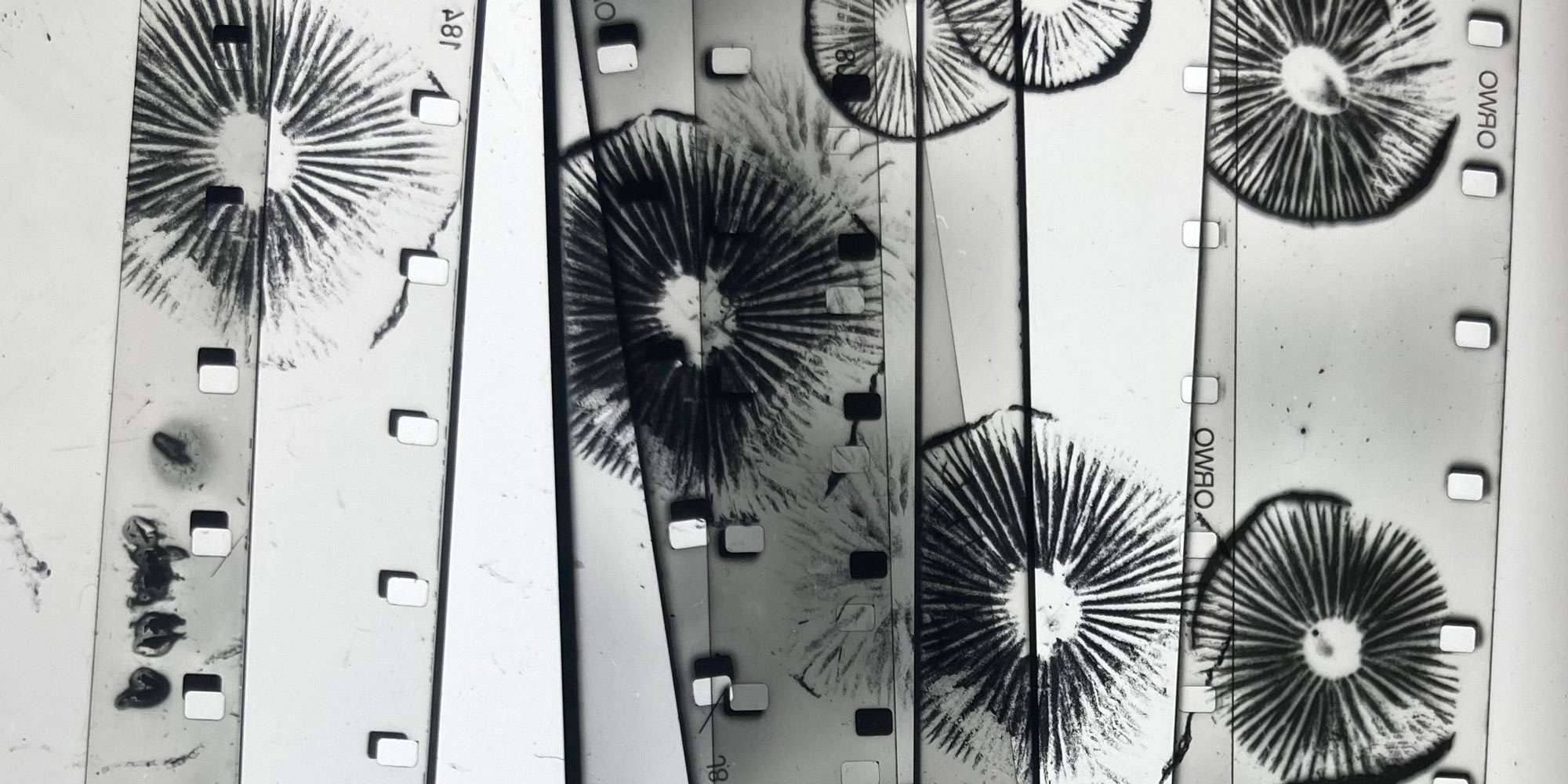 Lewis Center for the Arts’ Program in Visual Arts presents Turn the ...